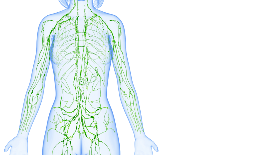Lymphatic Drainage - Rave Massage by Randy